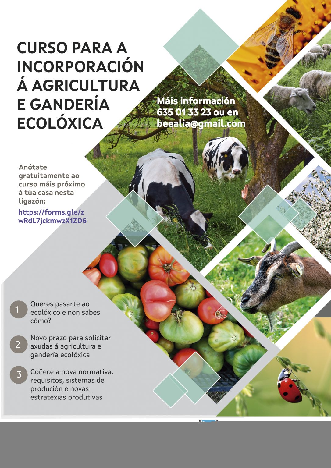 O Craega e Agacal ofrecen cursos formativos para pasarse á produción ...